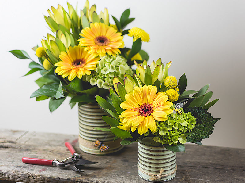Easy Fresh Flower Care and Tips – Petal Street Flower Company